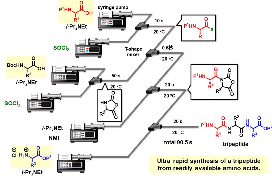Syntheses of Peptides and Amino Acid Derivatives | Fuse Lab