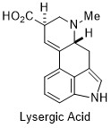 名古屋大学大学院創薬科学研究科 天然物化学分野